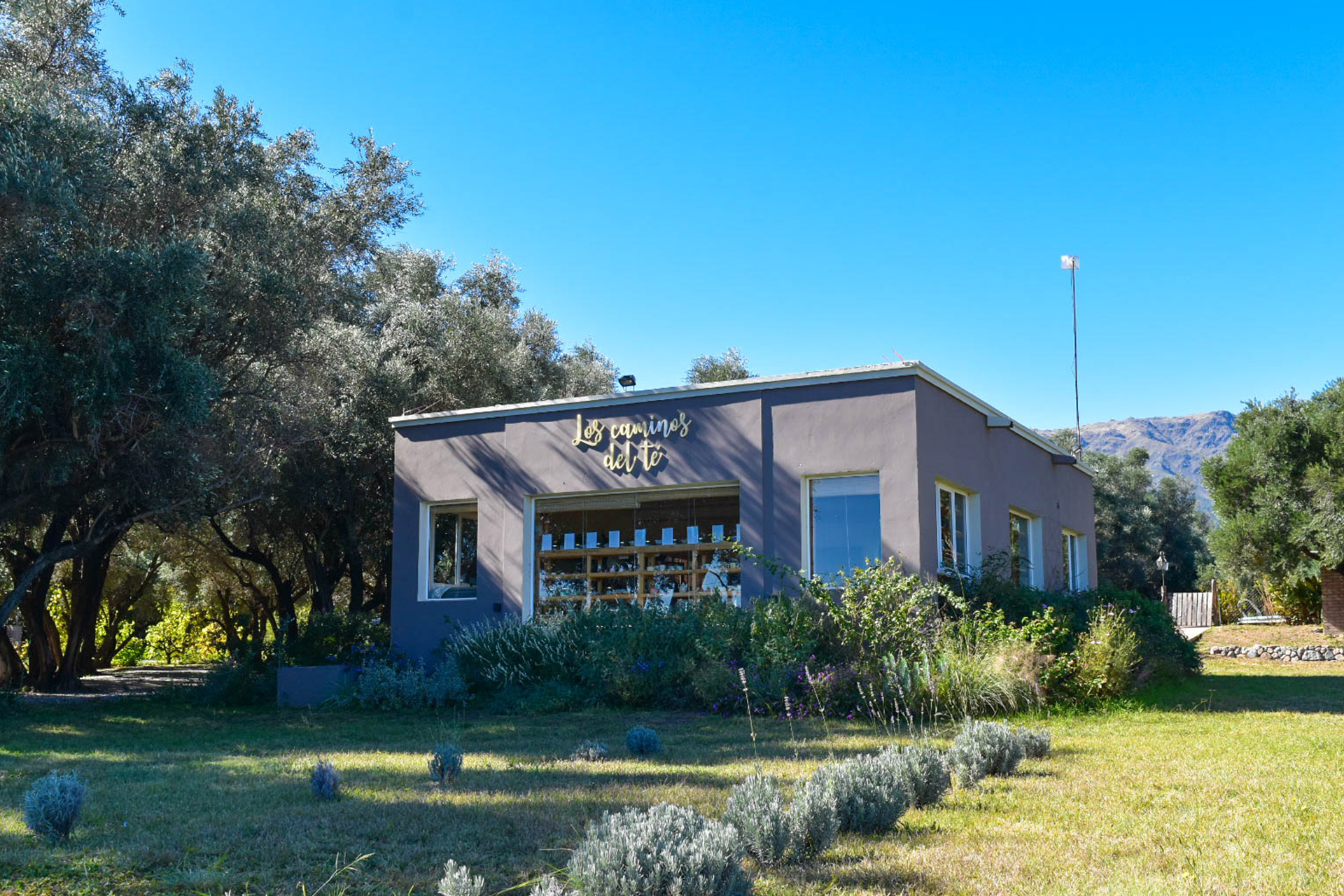 CASA DE TÉ | Los Caminos del Té